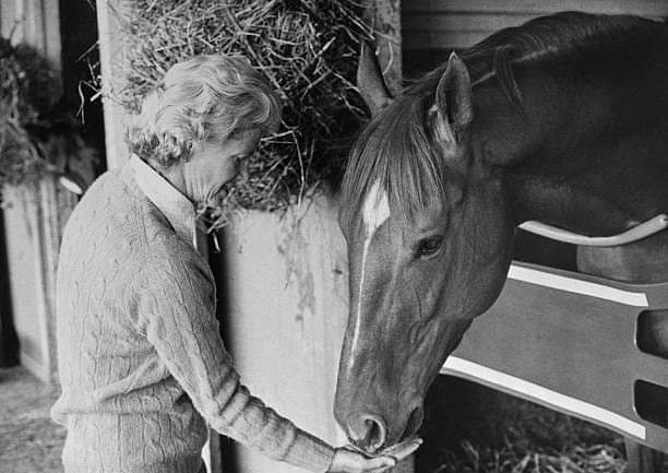 Solve Secretariat, the Luck of the Draw jigsaw puzzle online with 12 pieces