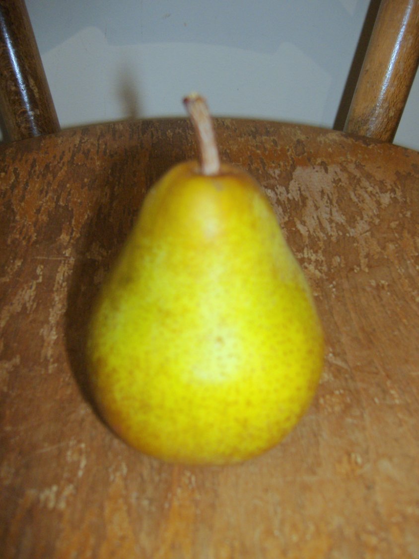 Solve Seasonal - Food - First Pear From the Allotment (Resize: 12 - 594 ...
