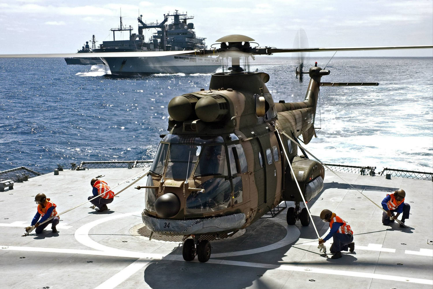 Solve ORYX jigsaw puzzle online with 150 pieces