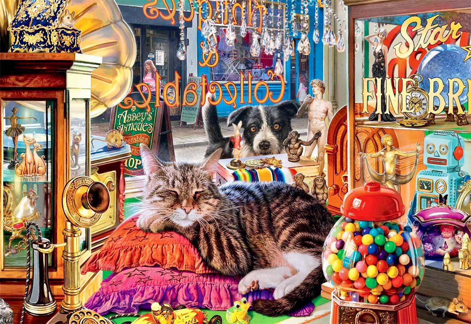 Solve CURIOSITY SHOP jigsaw puzzle online with 315 pieces