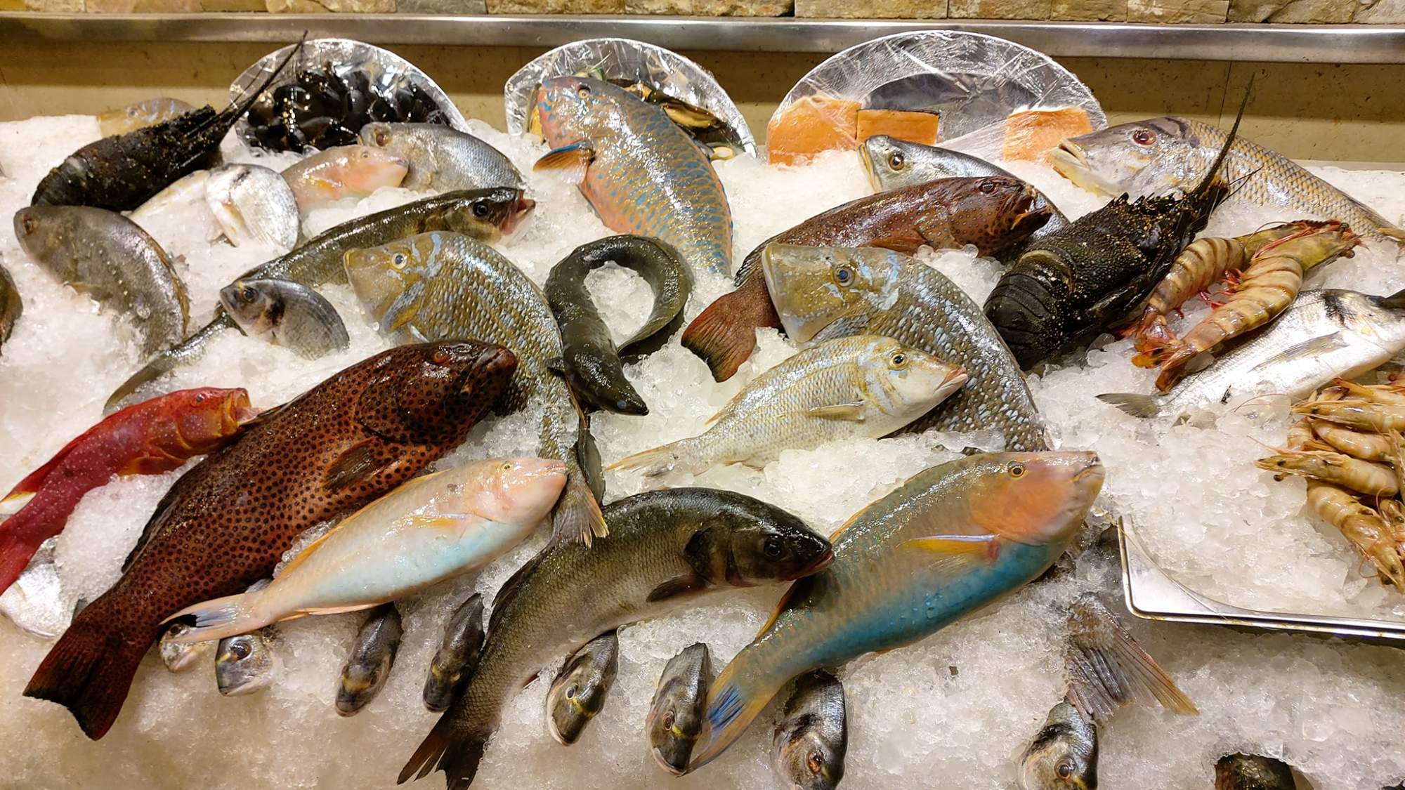 Solve Starfish Restaurant, Hurghada, Egypt jigsaw puzzle online with ...