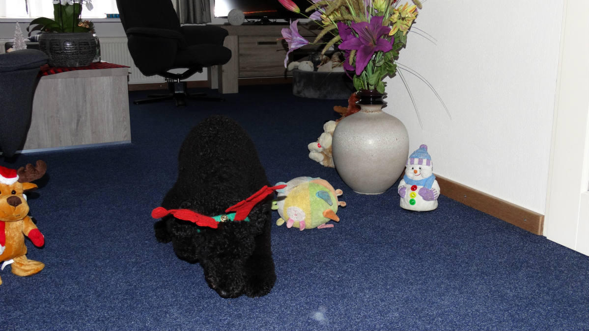 Solve Mummm, please...... I'm close to despair now, but I refuse to ...