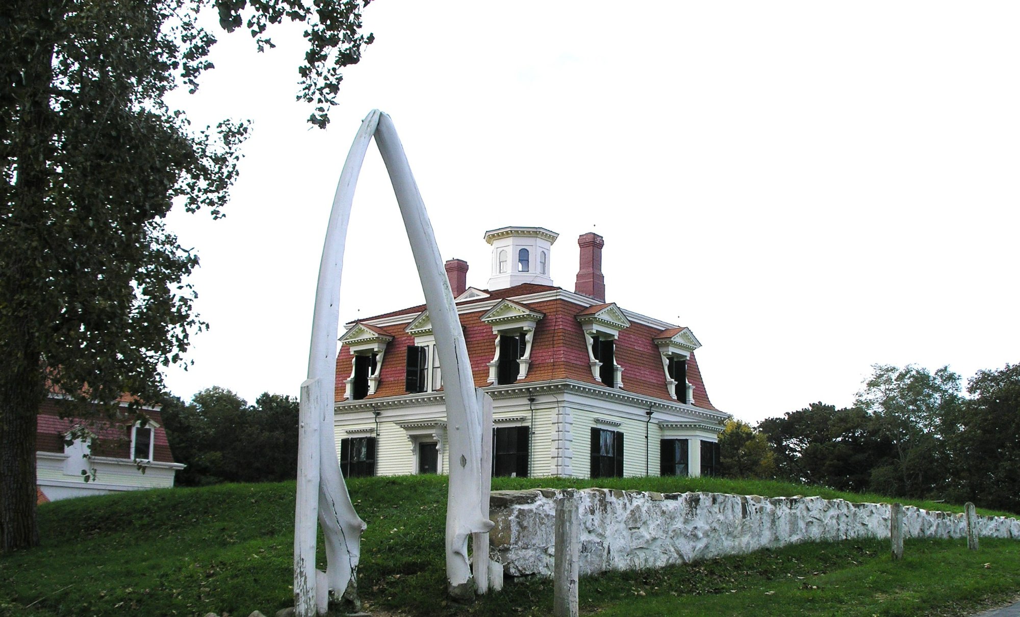 Solve Whale bone house jigsaw puzzle online with 104 pieces