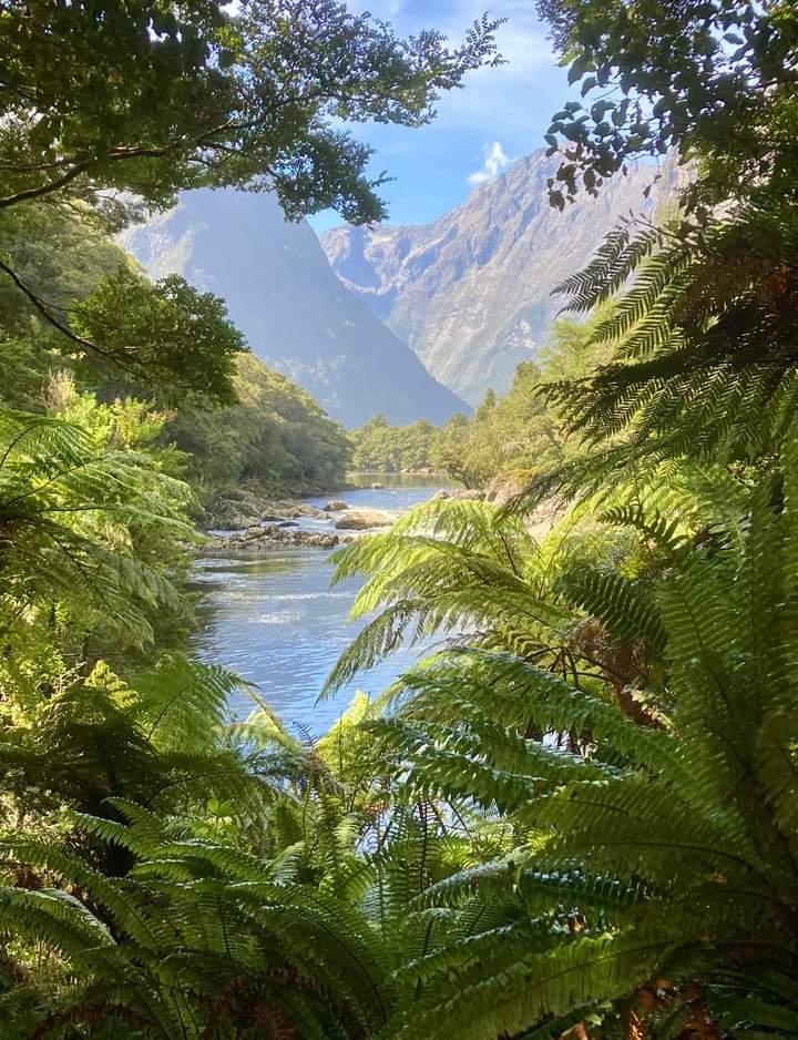 Jigsaw Puzzle | 35 pieces | Sandfly point, Milford sound | Jigidi