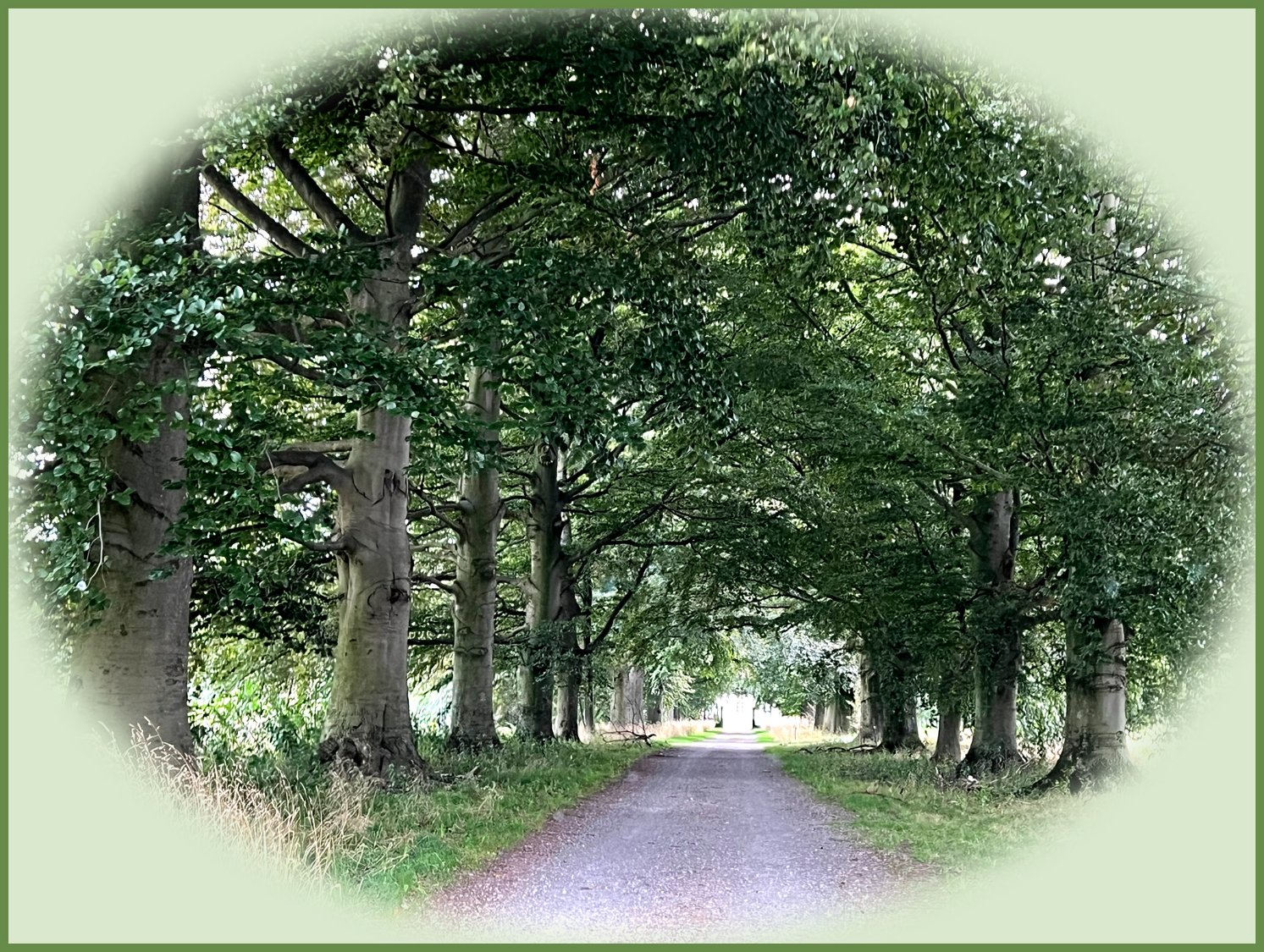 Solve The avenue. De dreef. jigsaw puzzle online with 35 pieces