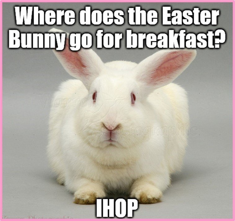 Solve Happy Easter, Jigidi Cat Lovers! Kitty Is Waiting For Bunny At ...