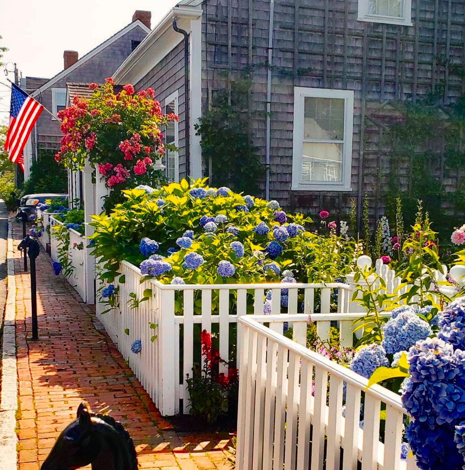 Solve Historic homes, Nantucket, Massachusetts jigsaw puzzle online ...