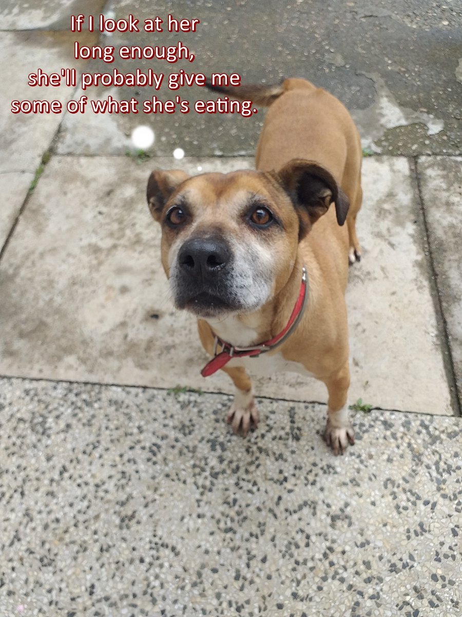 Jigsaw Puzzle | 30 pieces | Megi | Jigidi