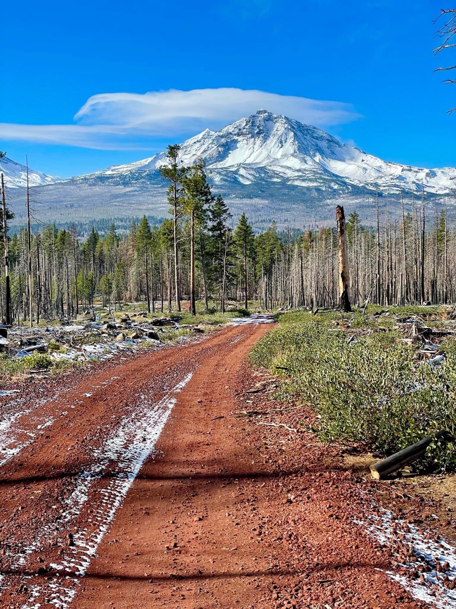 Solve Oregon jigsaw puzzle online with 221 pieces