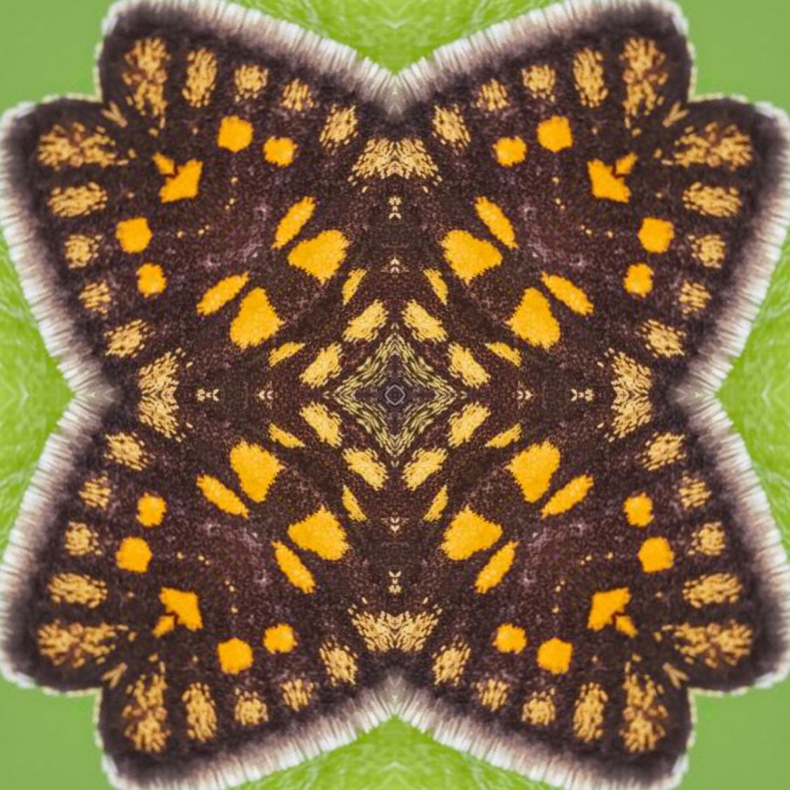 Solve #2 very small jigsaw puzzle online with 25 pieces