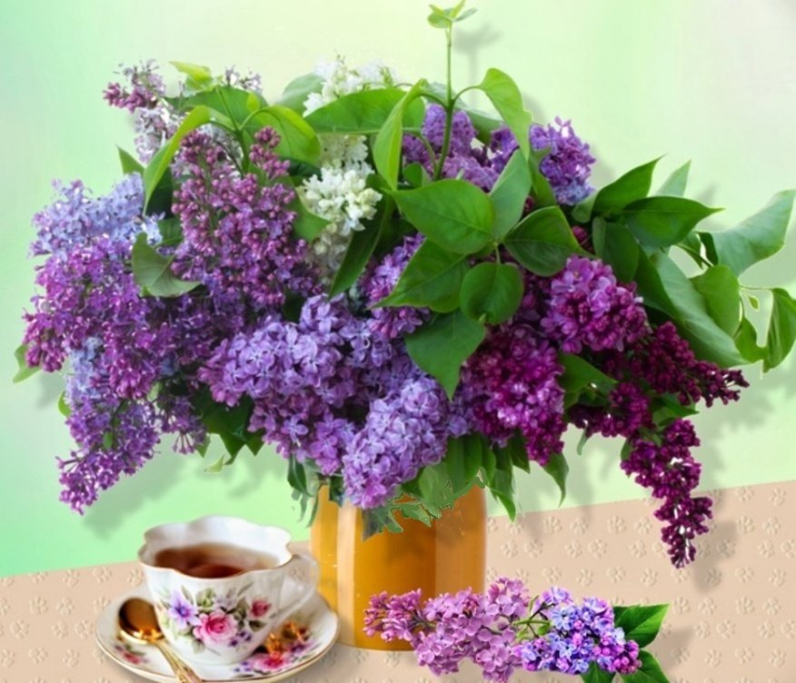 Solve lilac jigsaw puzzle online with 56 pieces
