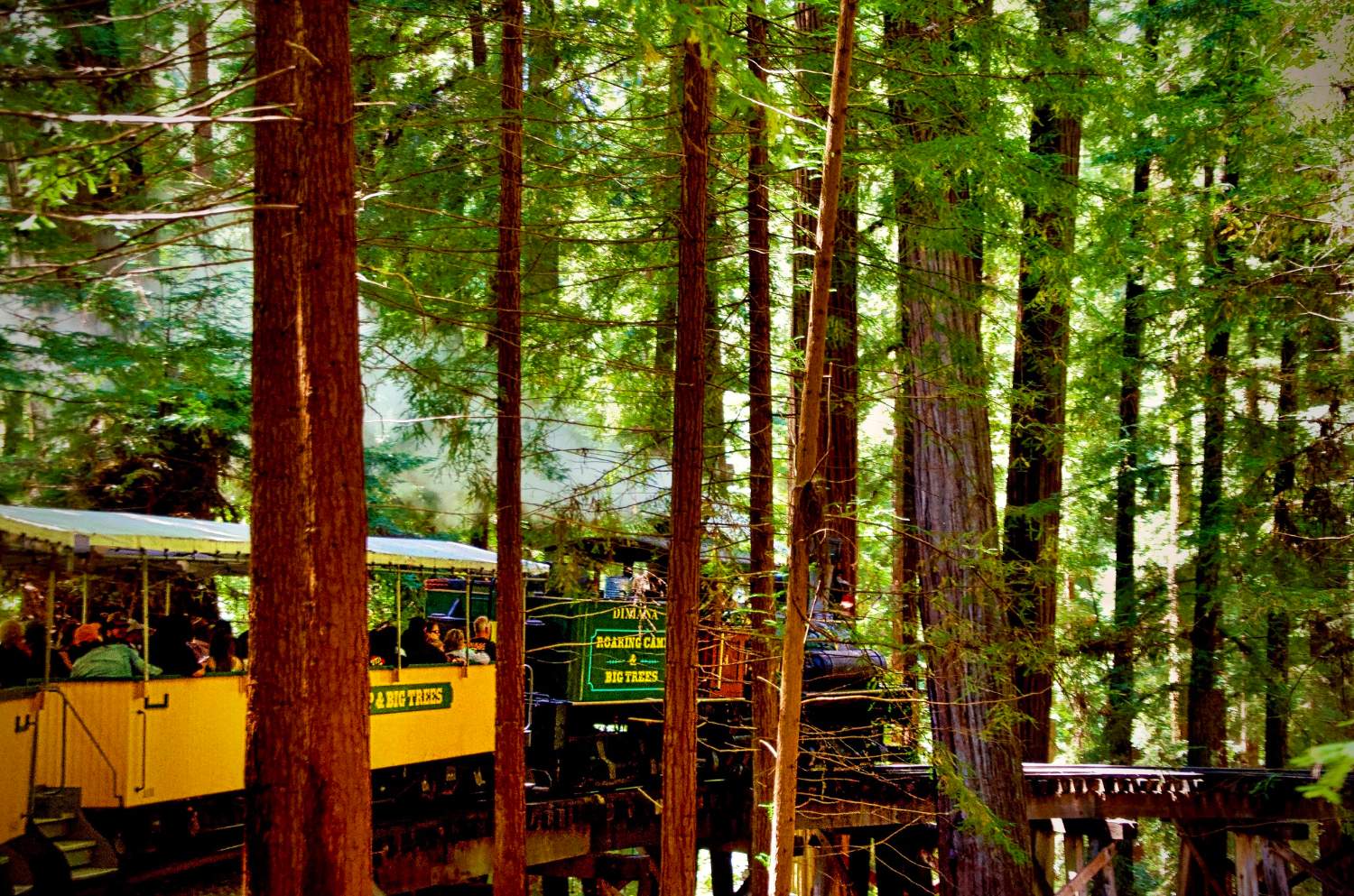 Solve Roaring Camp Railroad steam train travels through the Redwoods ...