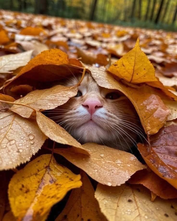 Solve Good morning peeps ☕️ jigsaw puzzle online with 99 pieces