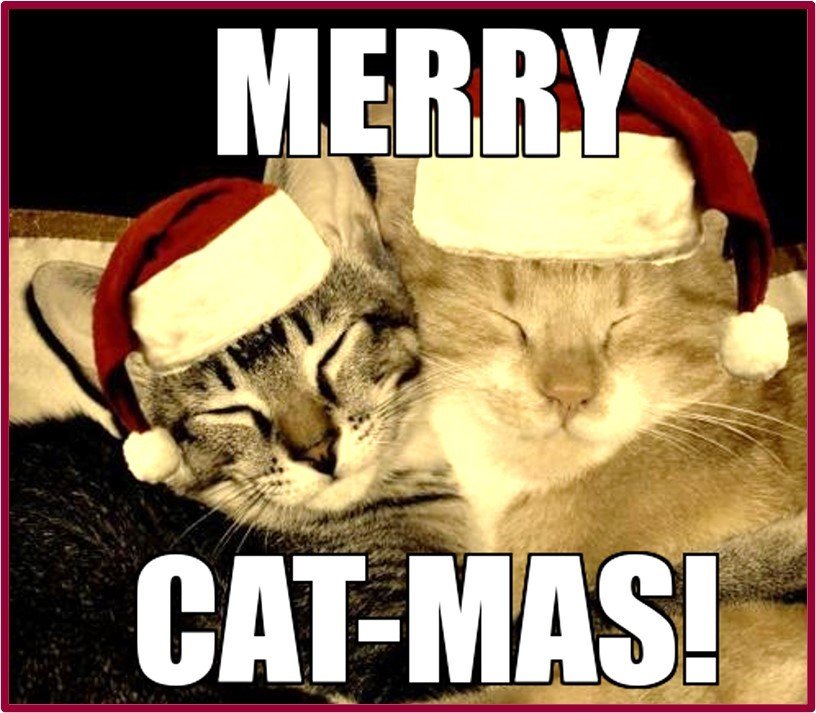 Solve Merry Cat-Mas To All The Cat Lovers! jigsaw puzzle online with 30 ...