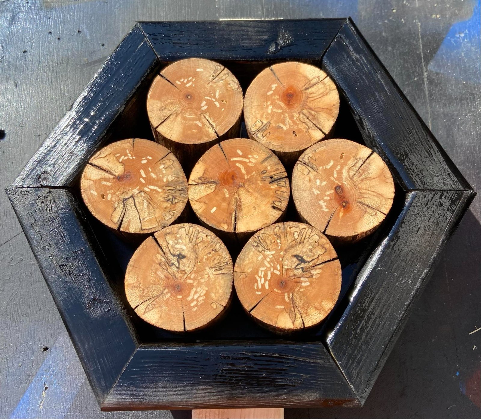 Solve MAPLE DISCS jigsaw puzzle online with 56 pieces