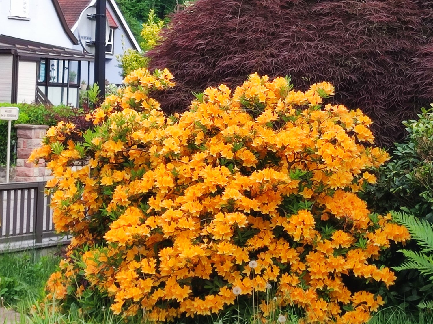 Solve Now jigsaw puzzle online with 24 pieces