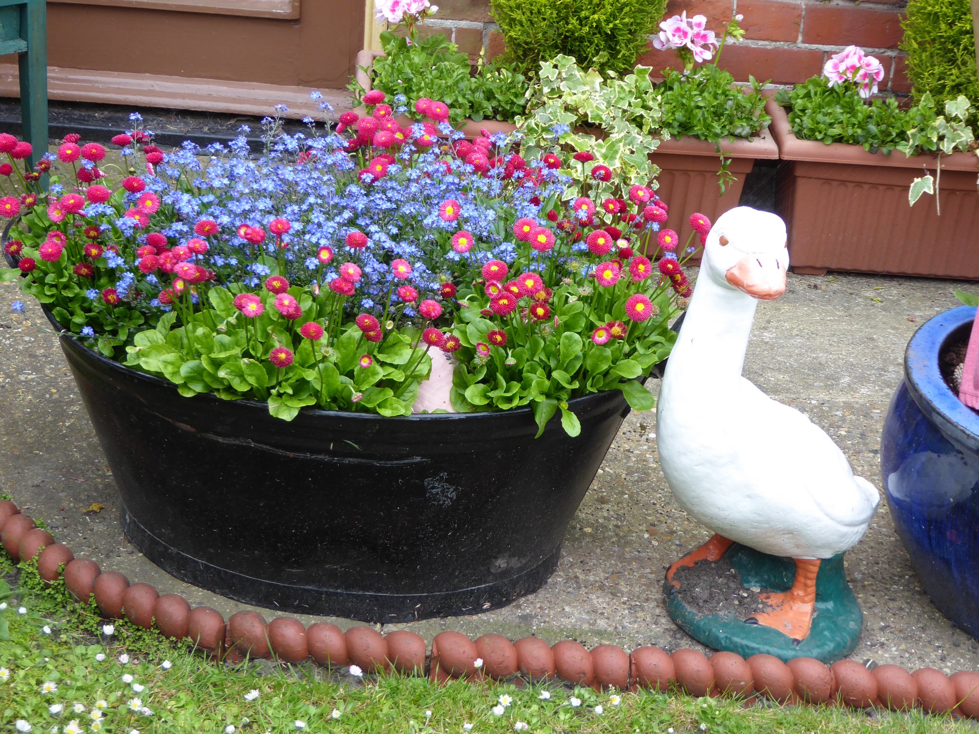 Solve Hello Ducky jigsaw puzzle online with 99 pieces