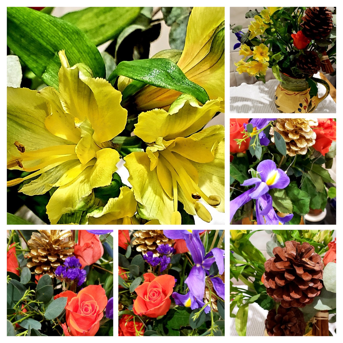 Solve Flower Collage jigsaw puzzle online with 36 pieces