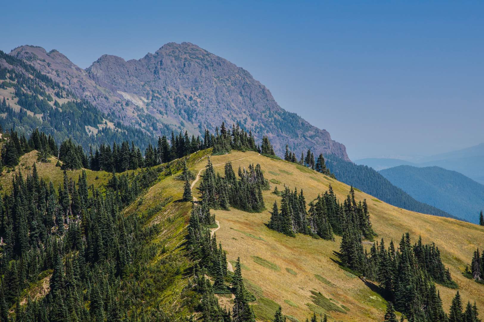 Solve A trail in Hurricane Ridge in Washington State jigsaw puzzle ...