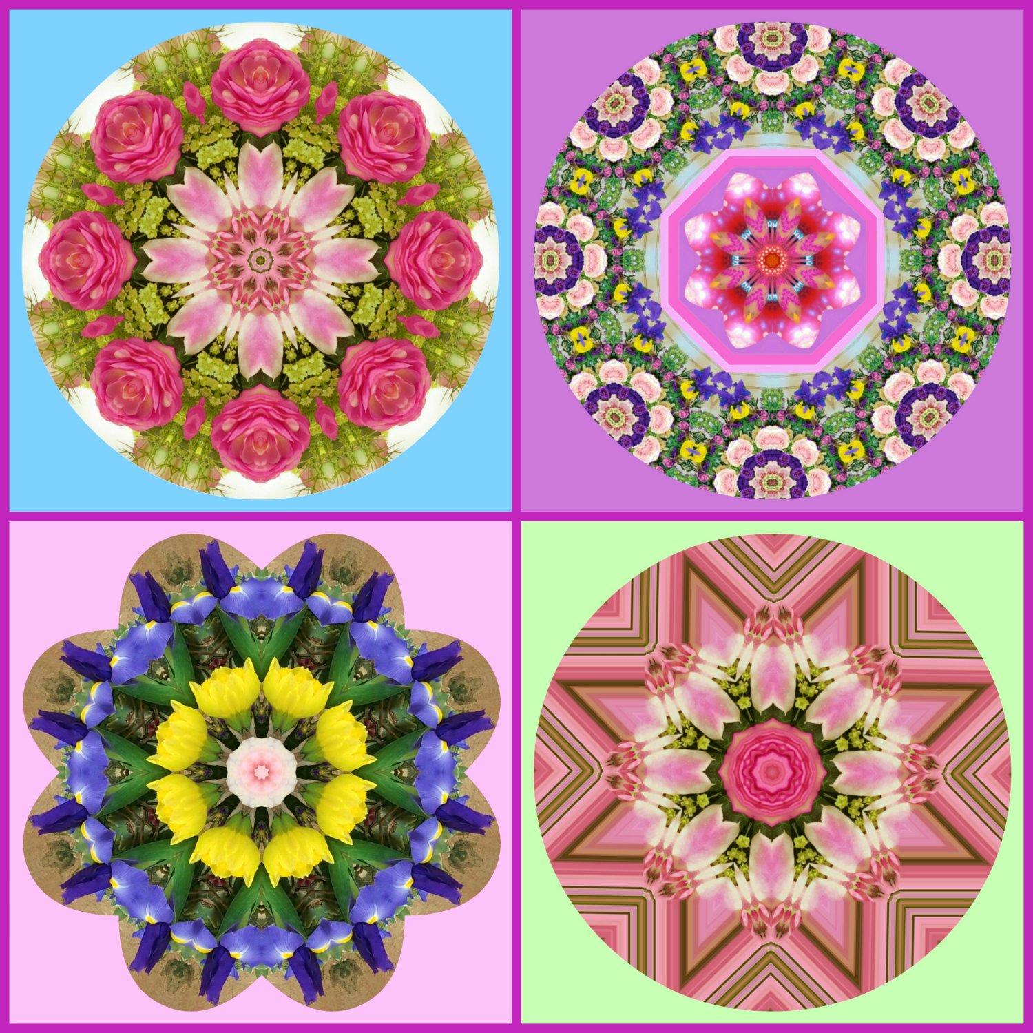 Solve Four Part Collage jigsaw puzzle online with 100 pieces