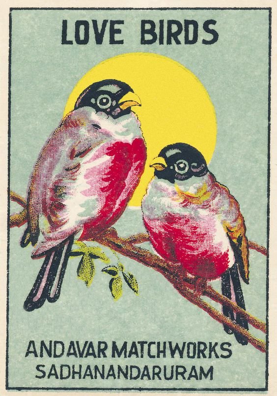 Solve Love Birds jigsaw puzzle online with 117 pieces