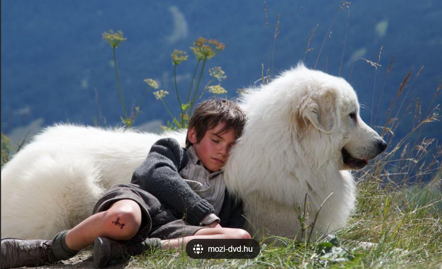 Solve The Guardian/The Great Pyrenees jigsaw puzzle online with 24 pieces