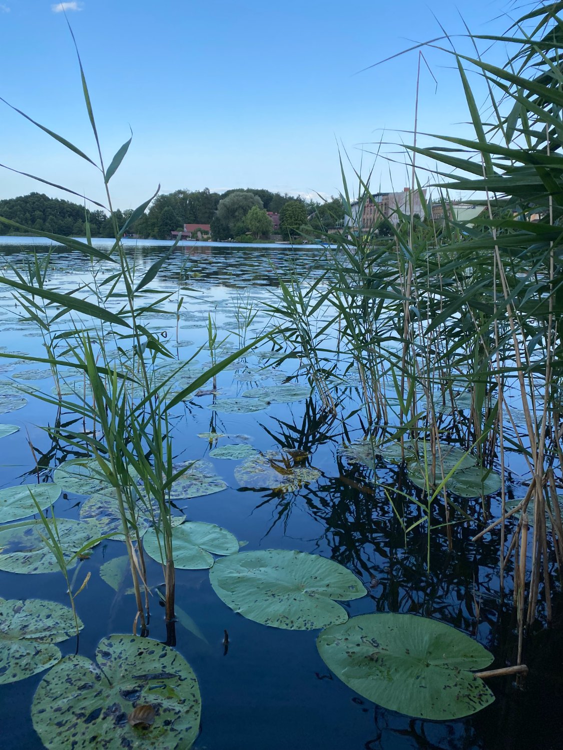 Solve Nature jigsaw puzzle online with 130 pieces