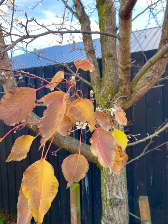 Solve Very Confused 🤷🏻‍♀️ jigsaw puzzle online with 12 pieces