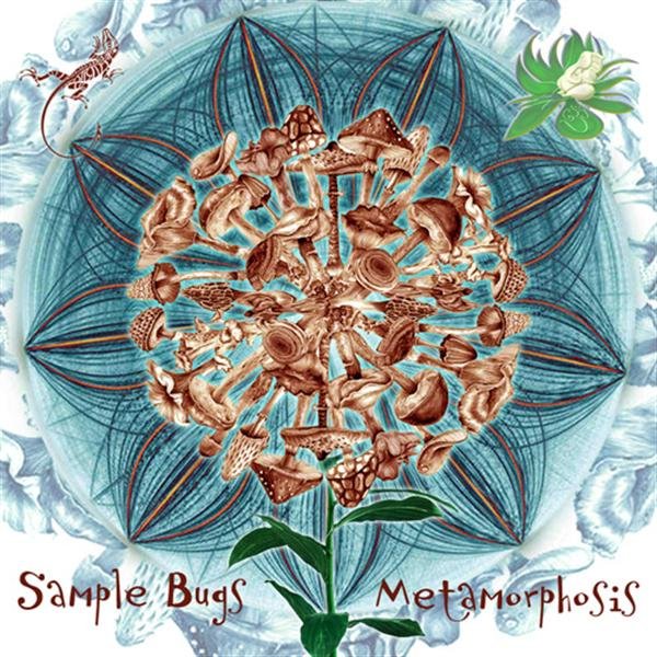 Jigsaw Puzzle | 9 pieces | Sample Bugs - Metamorphosis (album cover art ...