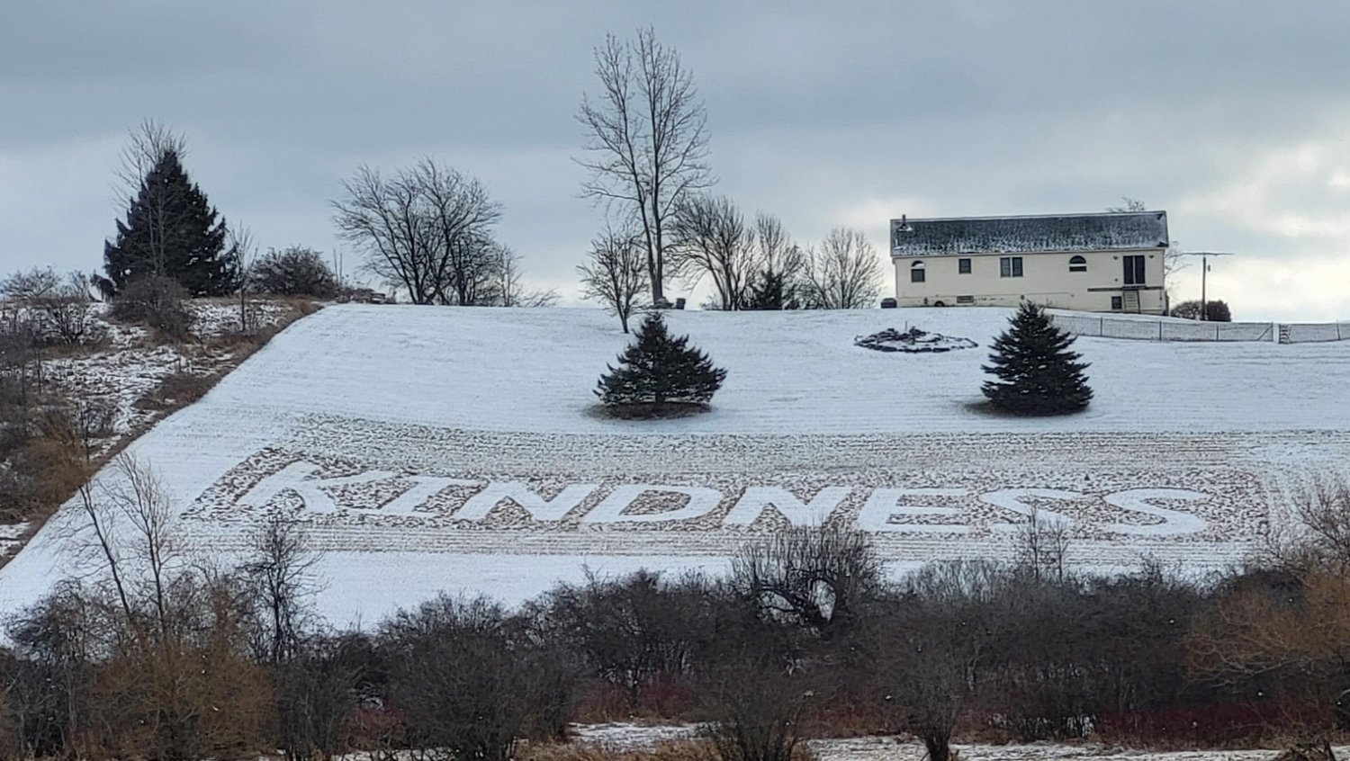 Solve Kindness jigsaw puzzle online with 15 pieces