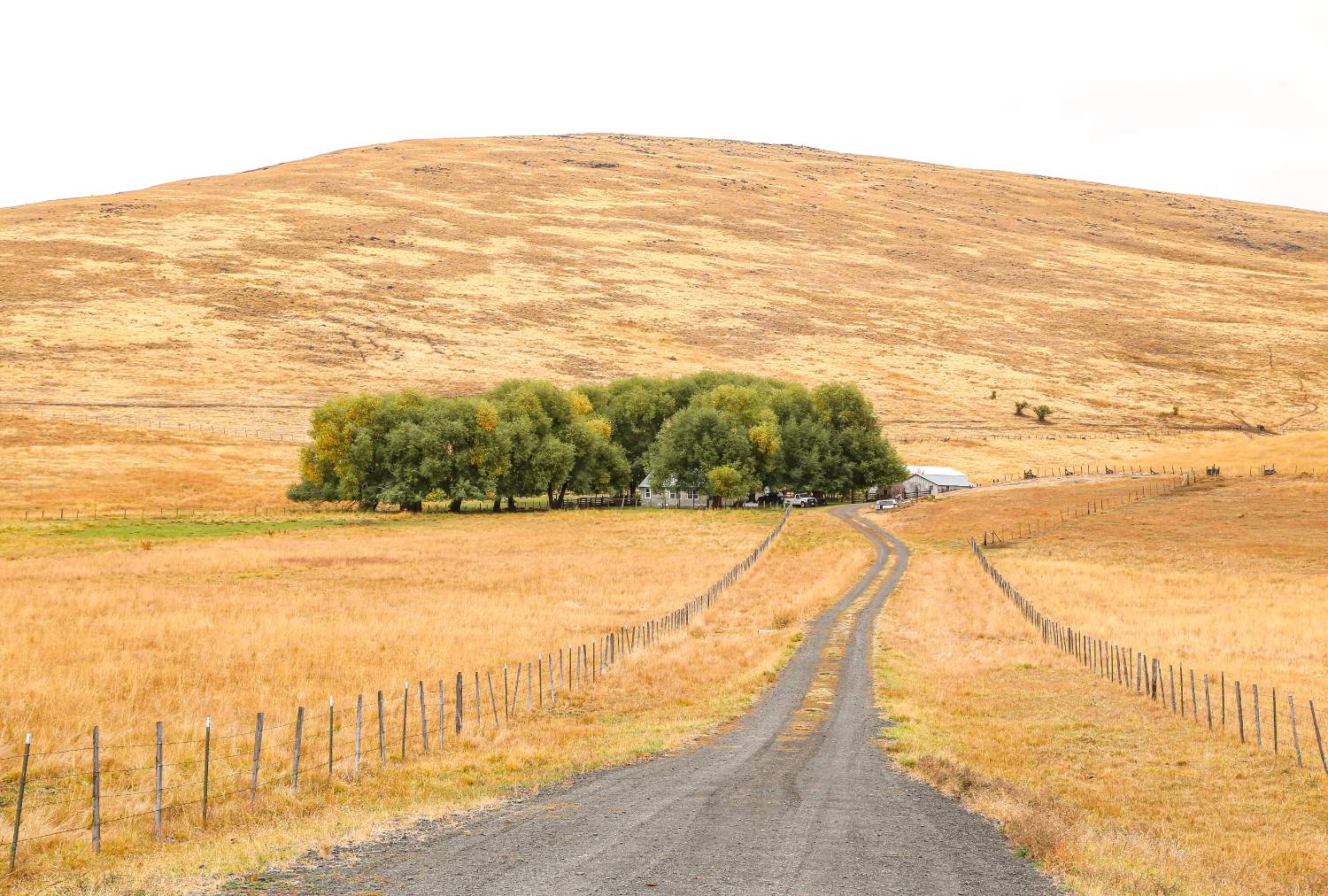 Solve LONELY RANCH jigsaw puzzle online with 77 pieces