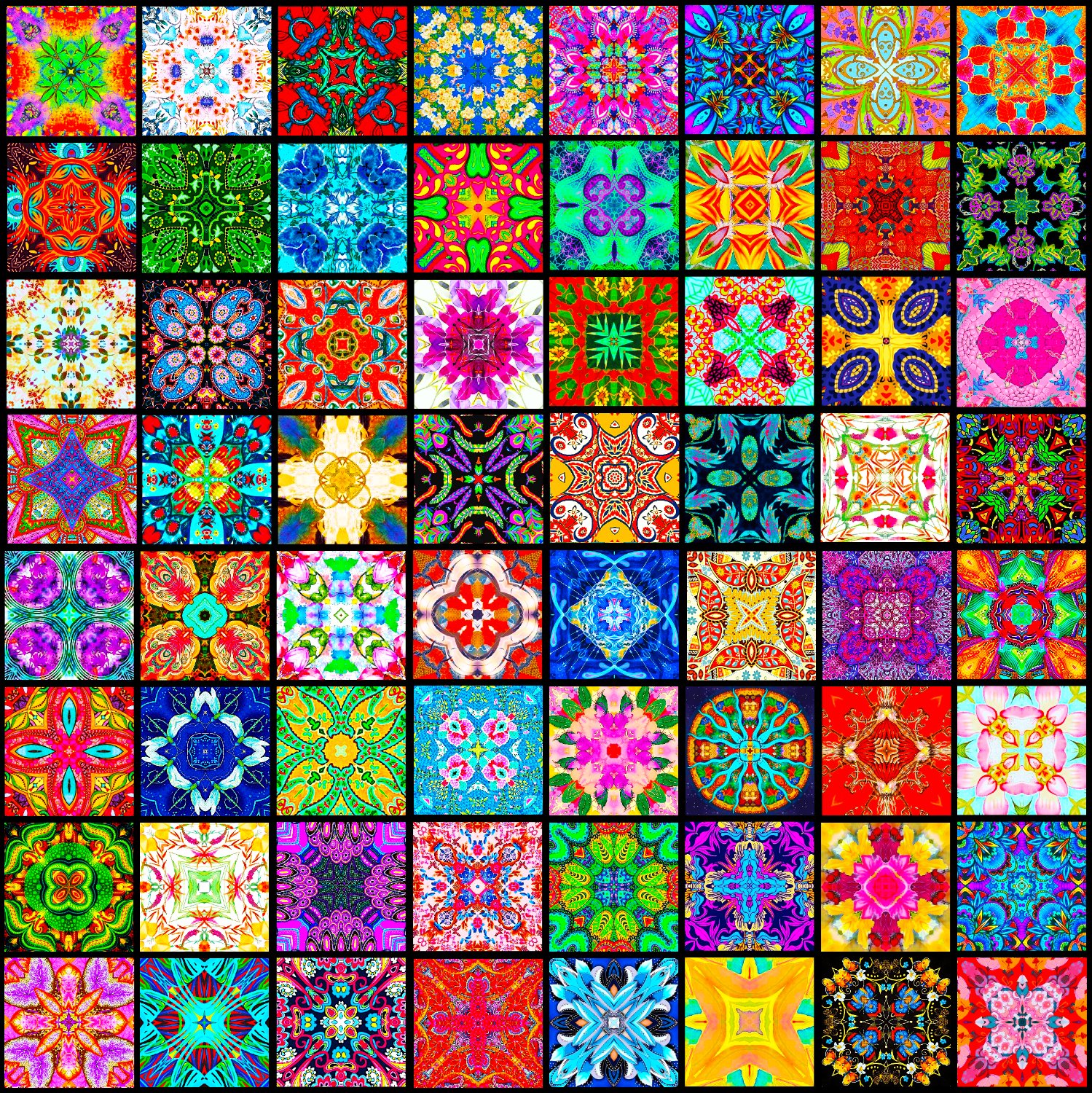 Solve 8 x 8 74 medium jigsaw puzzle online with 256 pieces