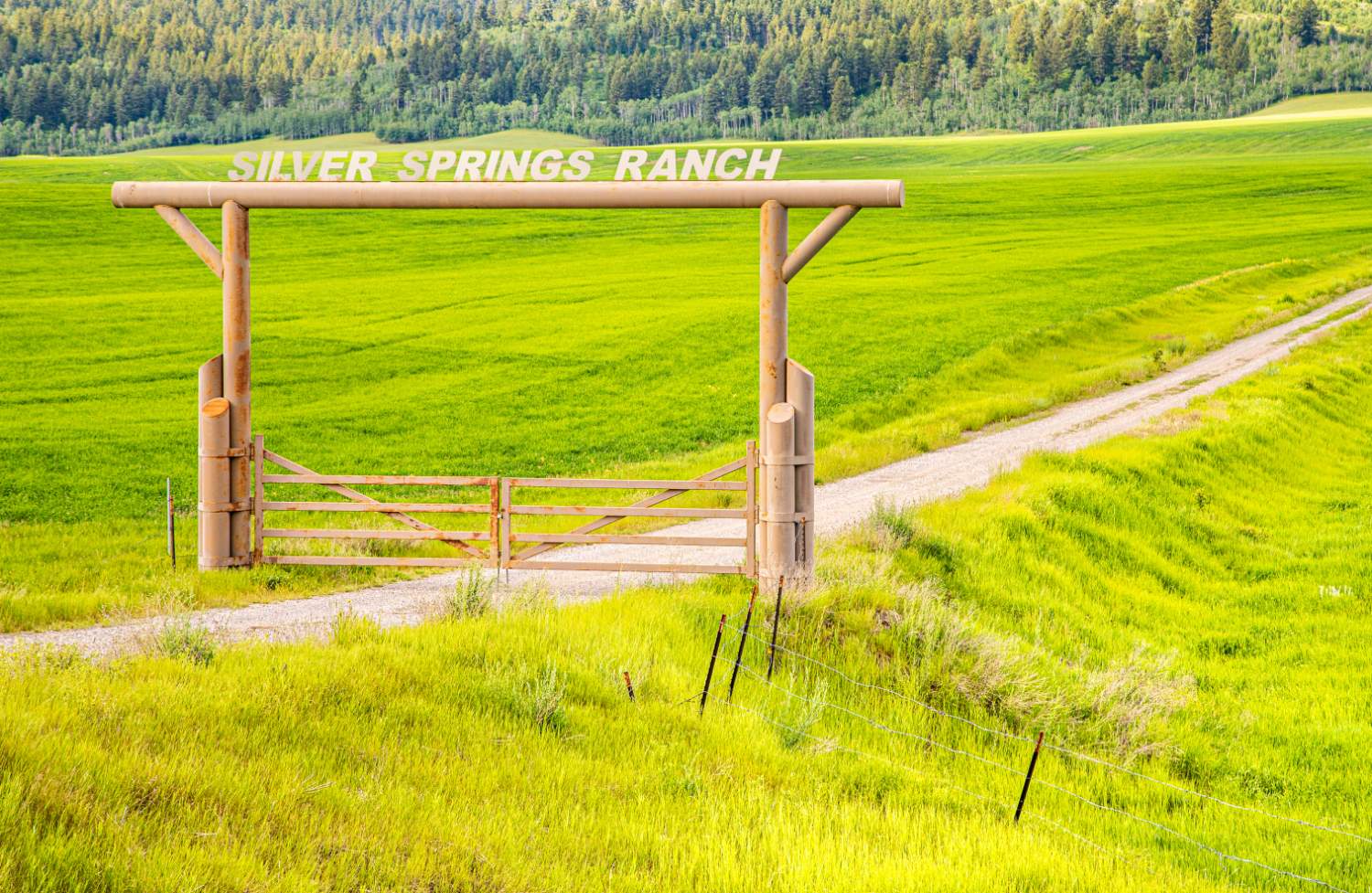 Solve SILVER SPRINGS RANCH jigsaw puzzle online with 96 pieces