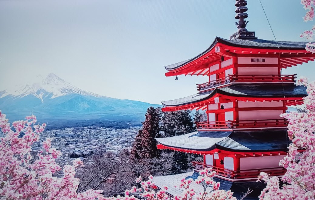 Solve Cherry blossems jigsaw puzzle online with 60 pieces