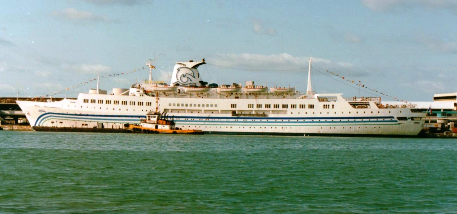 Solve Dolphin IV jigsaw puzzle online with 18 pieces