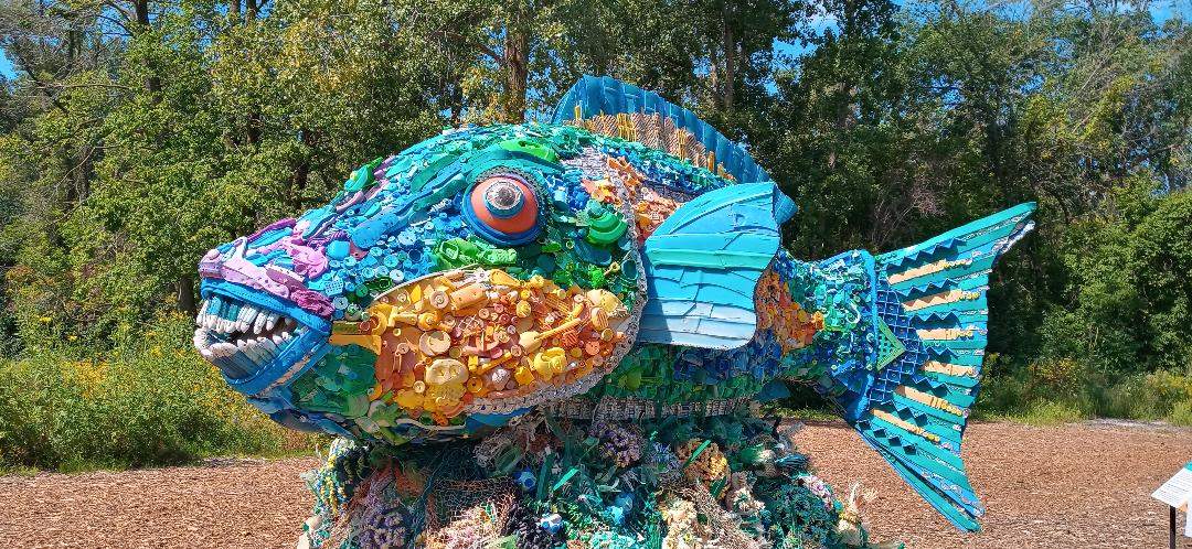 Solve TRASH FISH jigsaw puzzle online with 36 pieces