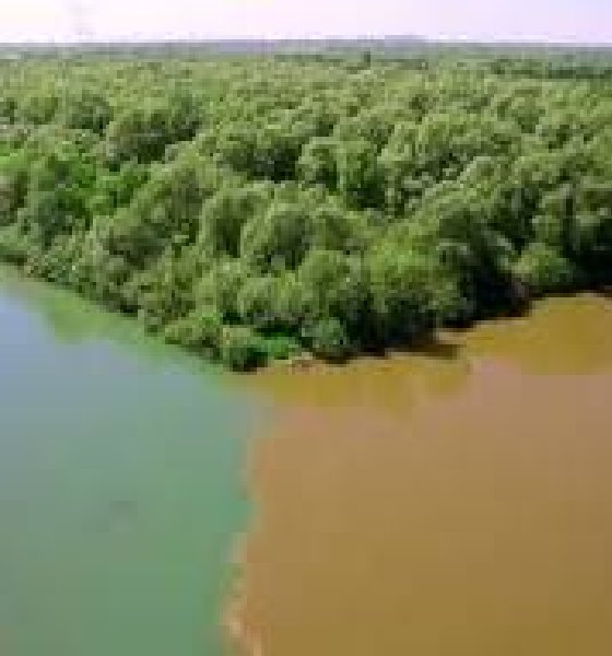 Solve Two colored river jigsaw puzzle online with 25 pieces