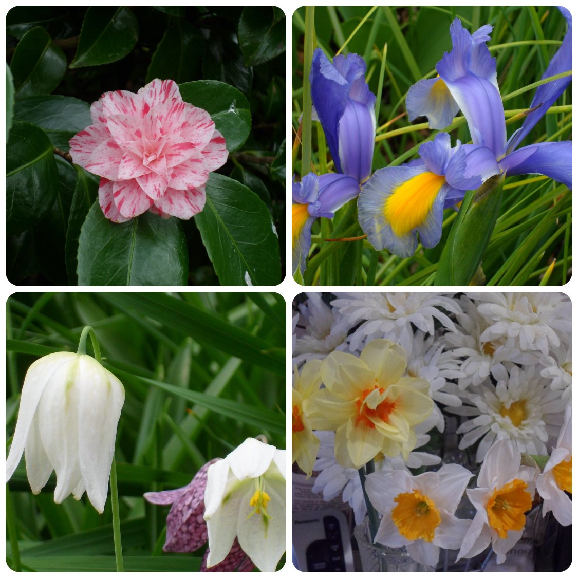 Solve SPRING jigsaw puzzle online with 16 pieces