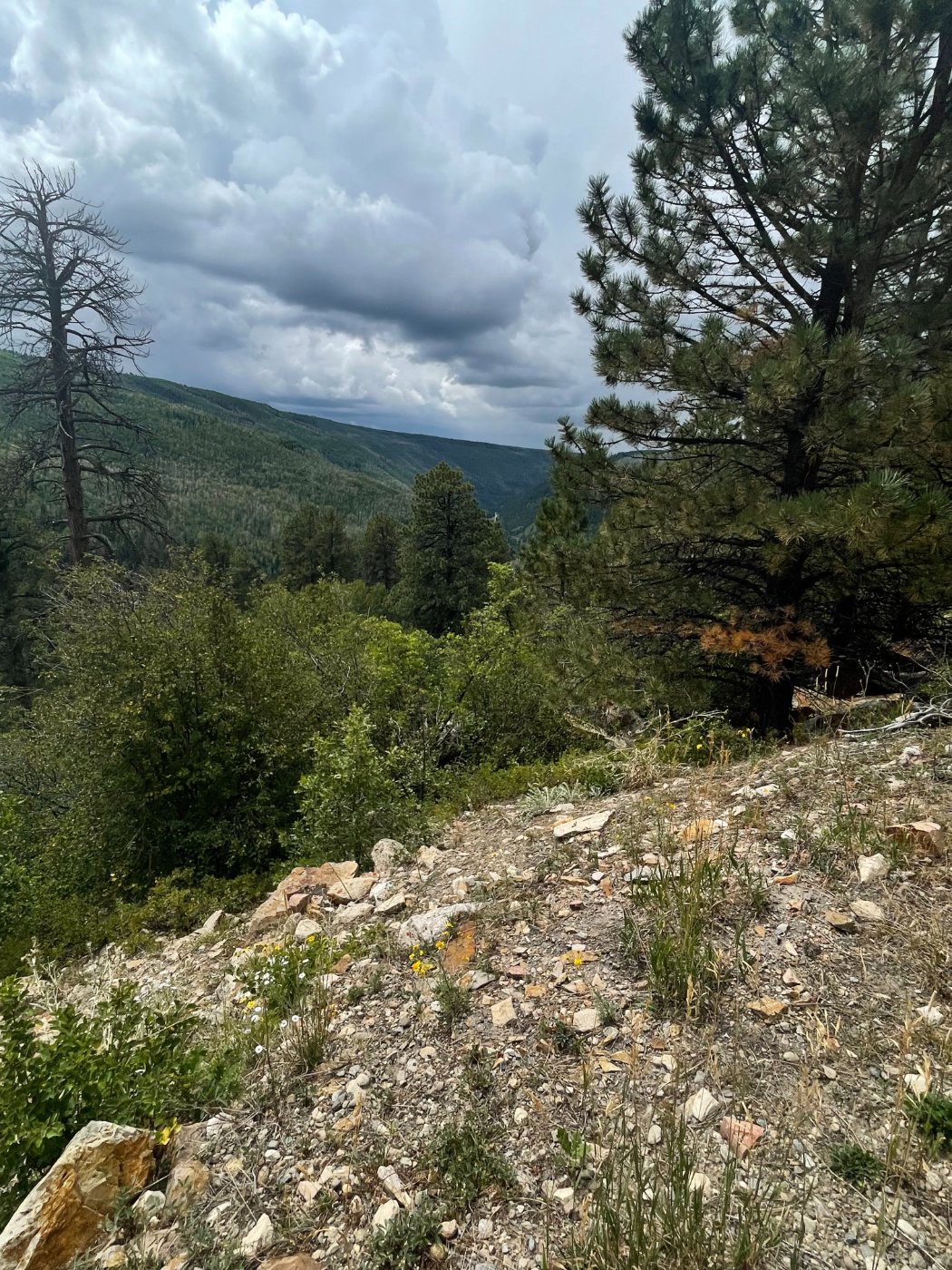 Solve Stoner Mesa Colorado Jigsaw Puzzle Online With 35 Pieces