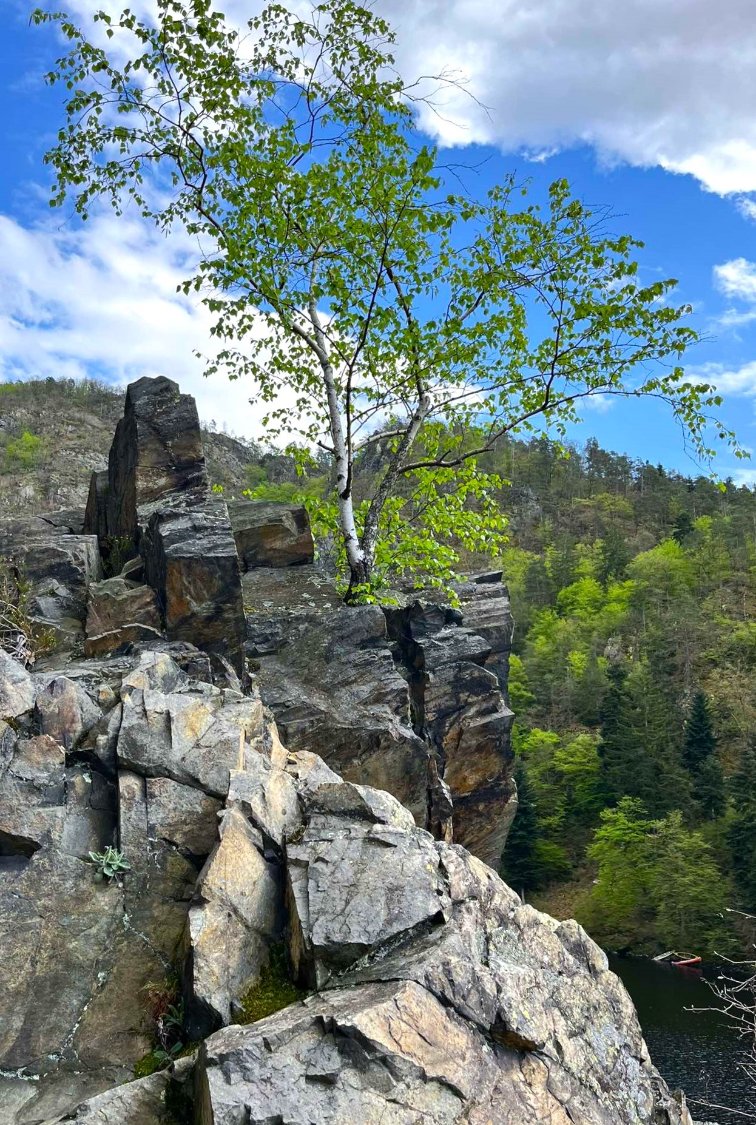 Solve Nature jigsaw puzzle online with 12 pieces