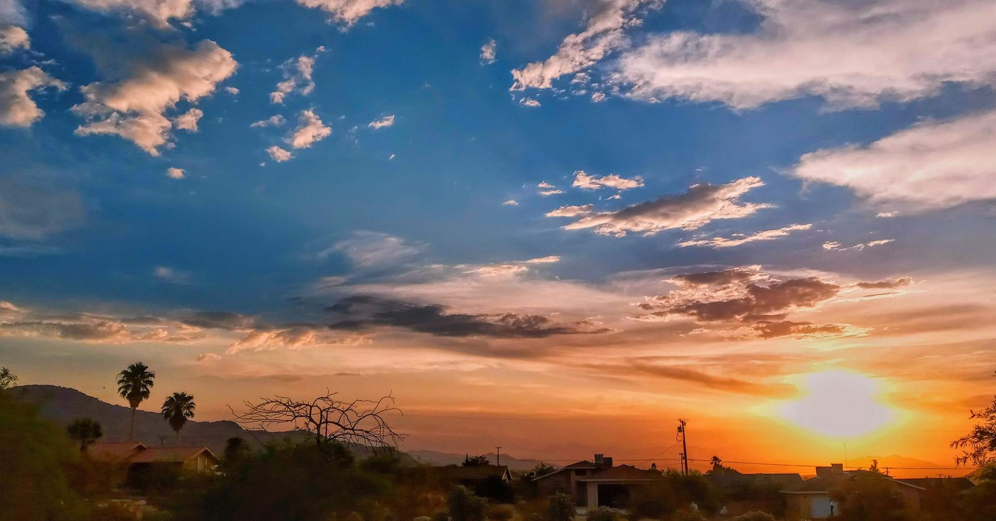 Solve early sun jigsaw puzzle online with 364 pieces