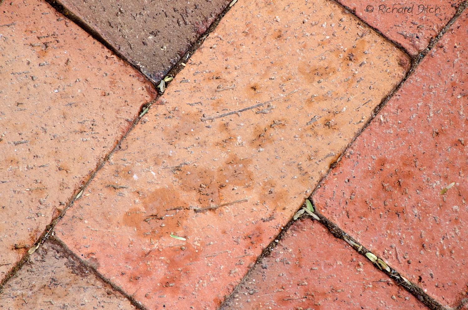Solve Brick Patterns jigsaw puzzle online with 96 pieces