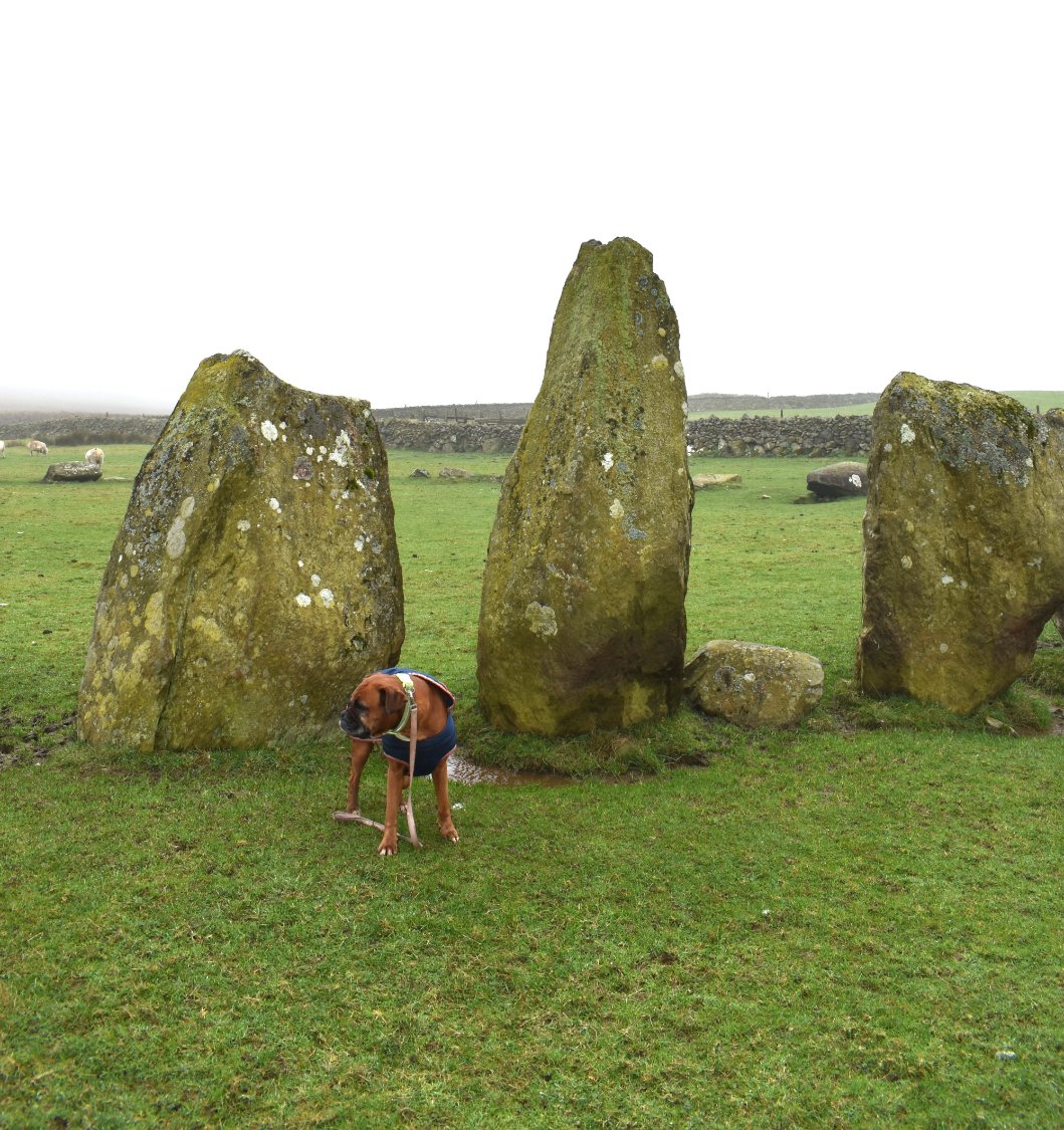 Solve Sunkenkirk Stone Circle, the tallest stone at 7 Foot 3 inches ...