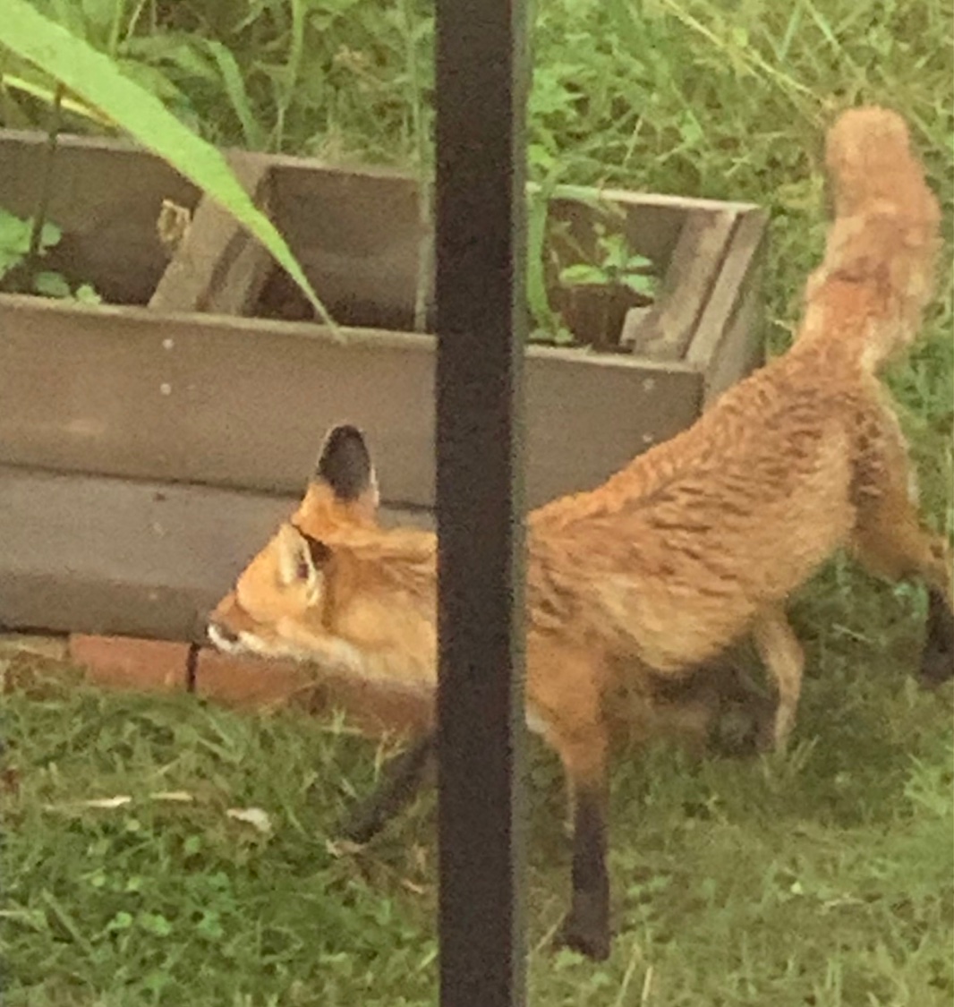 Solve How do I correct for the parallax error? jigsaw puzzle online ...