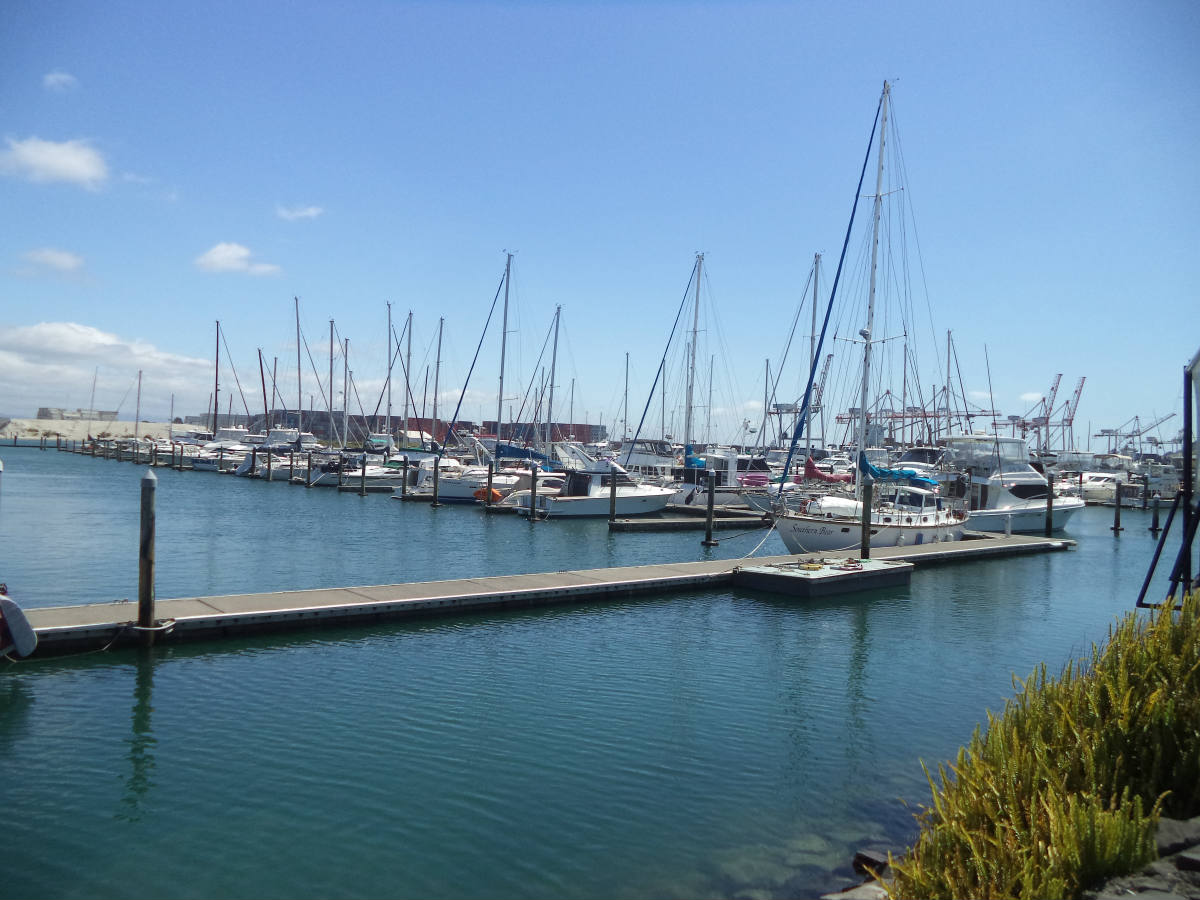Solve Tauranga Bridge Marina, New Zealand jigsaw puzzle online with 63 ...