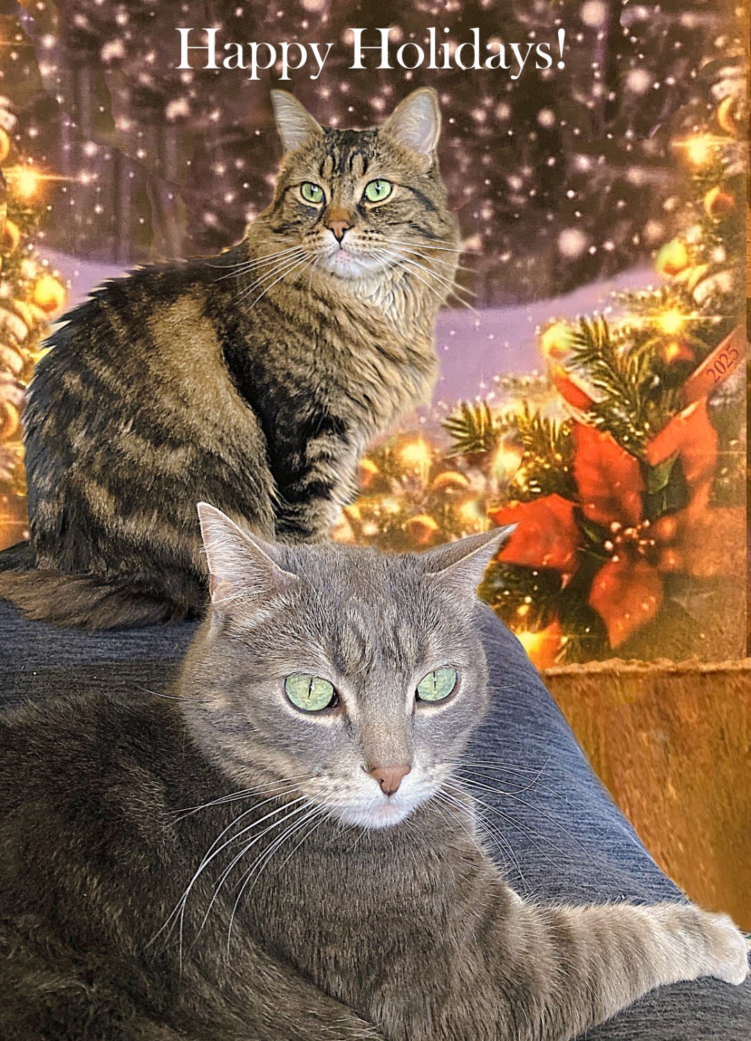Solve Happy Holidays!! jigsaw puzzle online with 54 pieces