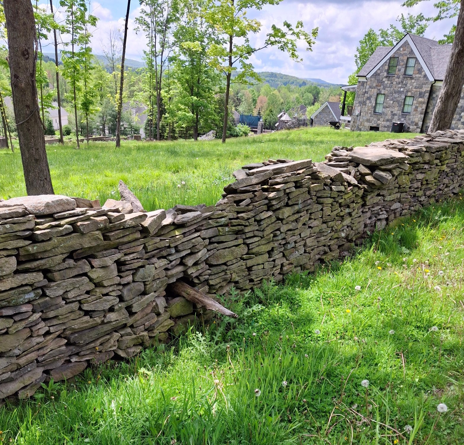 Solve Tired, dry-laid fieldstone wall jigsaw puzzle online with 81 pieces