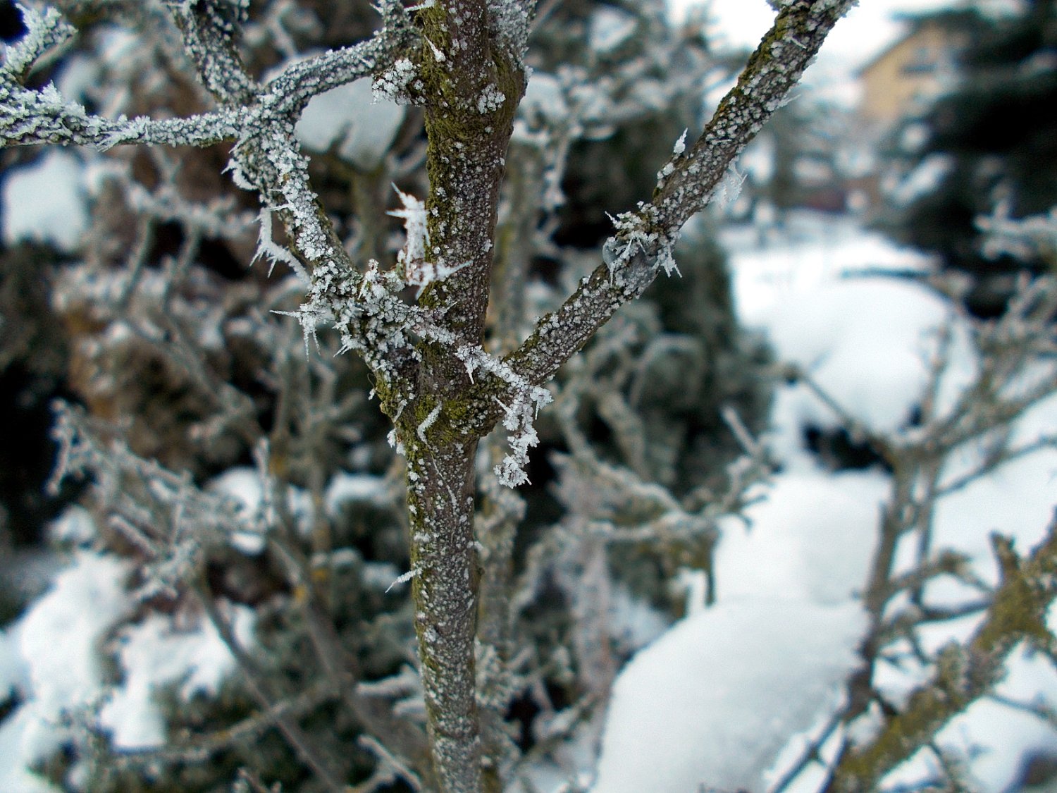 Solve NÁMRAZA jigsaw puzzle online with 12 pieces