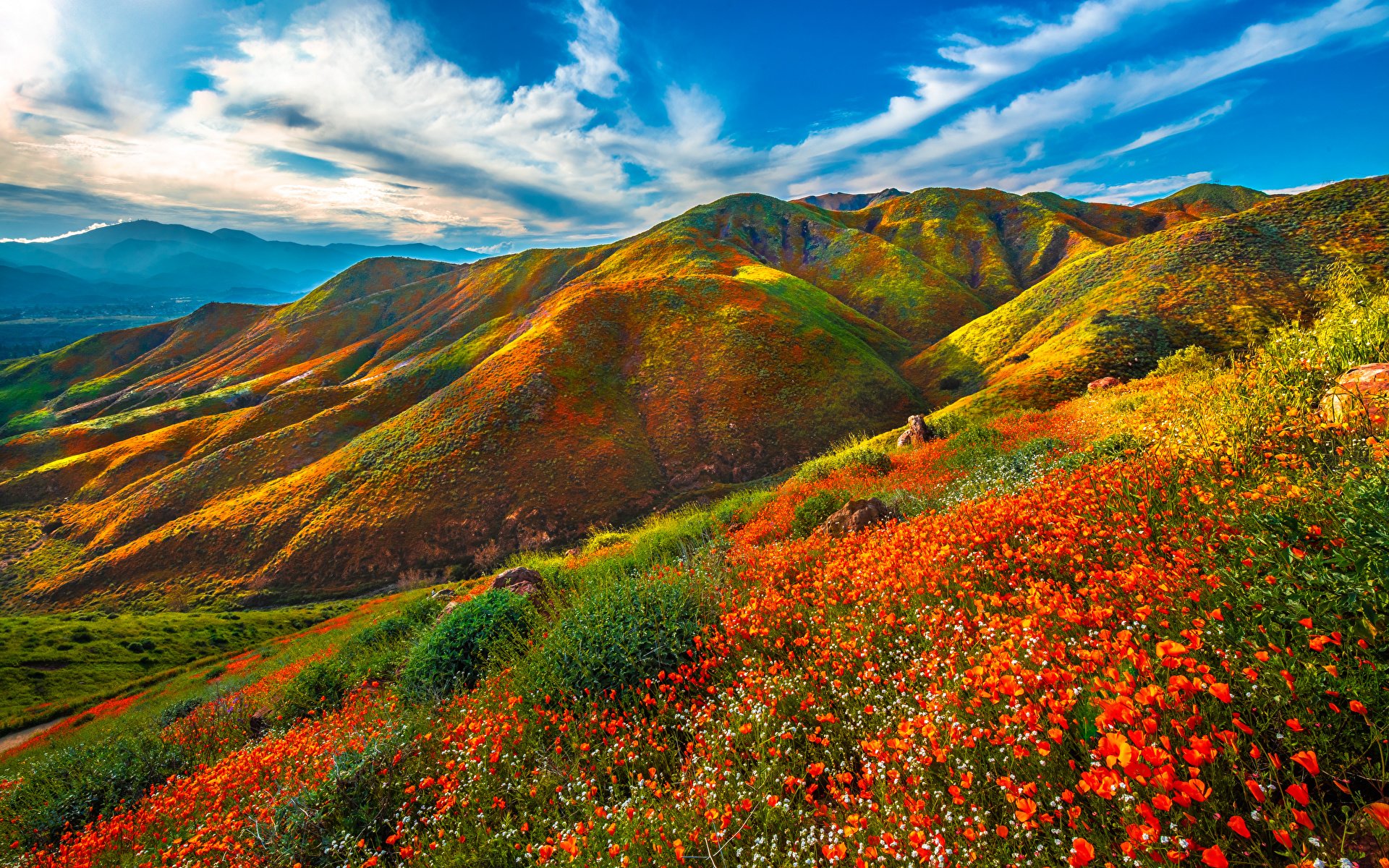 Solve USA_Walker_Canyon jigsaw puzzle online with 160 pieces