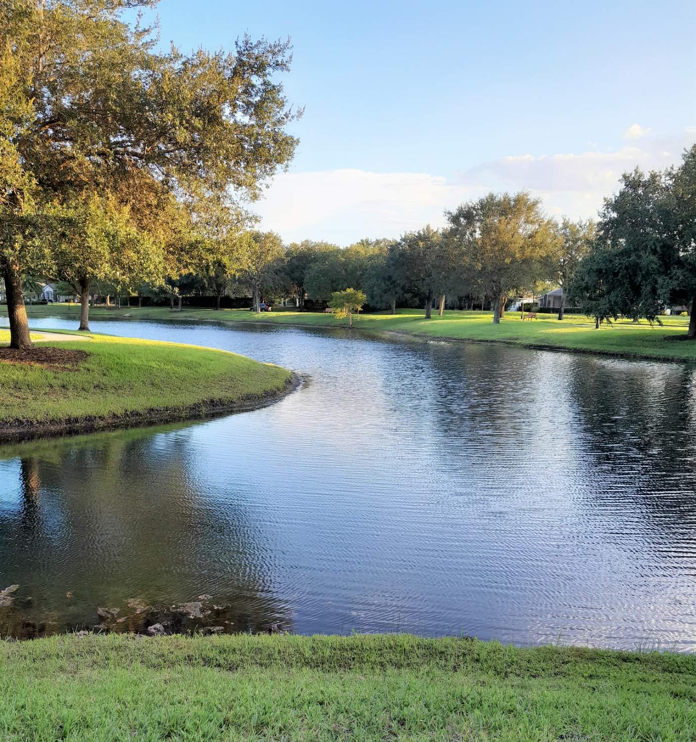 Solve Neighborhood Park jigsaw puzzle online with 182 pieces